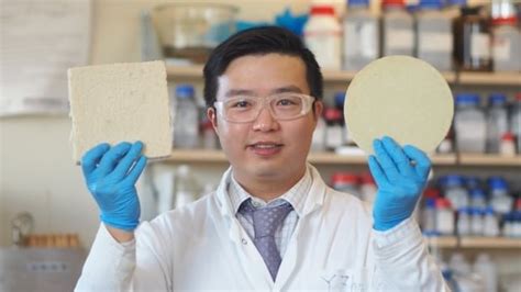 Biofoam Biodegradable Alternative To Styrofoam Created From Wood Scraps R Solarpunk