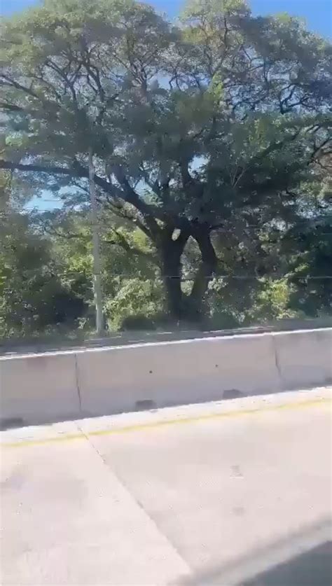 Primer Mundo O Mi Primera Chamba R Elsalvador