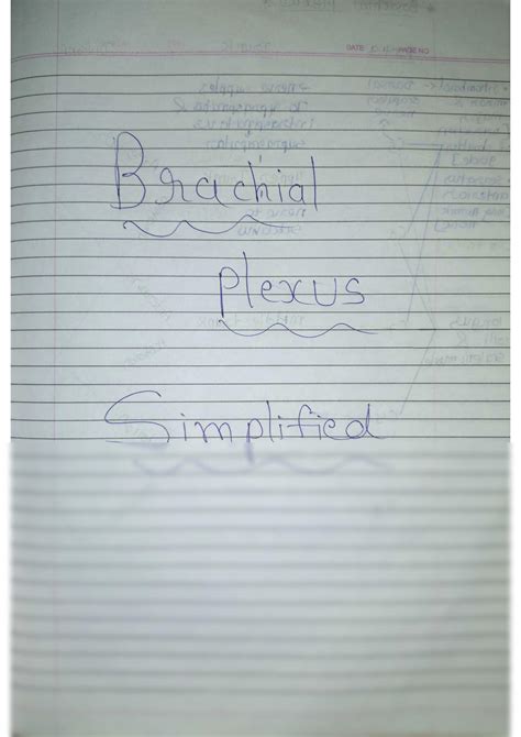 Solution Brachial Plexus Simplified With Diagram Marwadi University