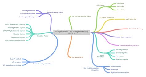 Idmcinformatica Data Management Cloud Aka Iics Coggle Diagram