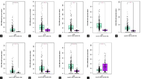 Cdks With Significant Differences In Expression Between Hcc Tissue And