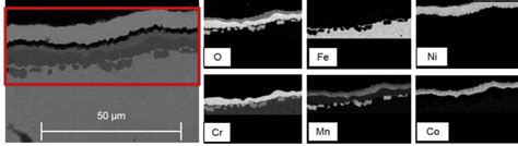 SEM Image And EDX Elemental Maps Of A Mechanical Cross Section Of The Download Scientific