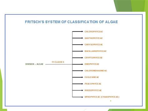 Classification Of Algaepdf Biological Sciences Science
