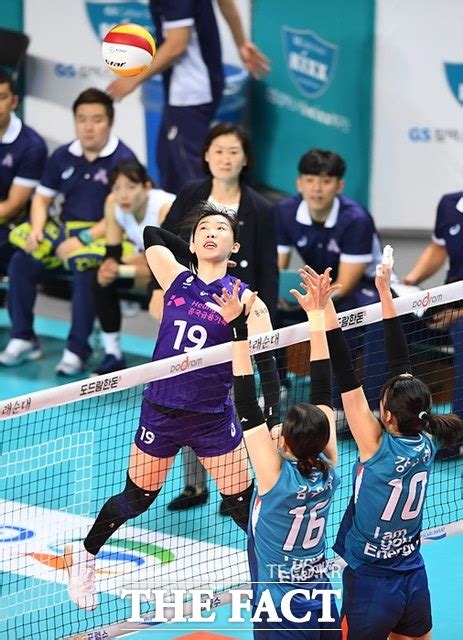 배구토토 배구팬 흥국생명 Gs칼텍스 상대로 우세 토토데이 기사 더팩트