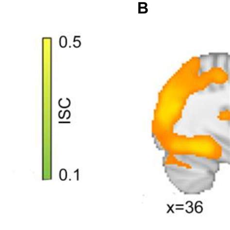 Intersubject Correlation For Both Character And Action Segments