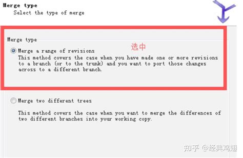 Svn如何创建分支 知乎