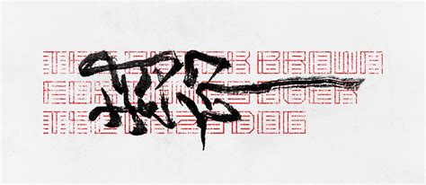 Seal Script｜font Experiment Behance