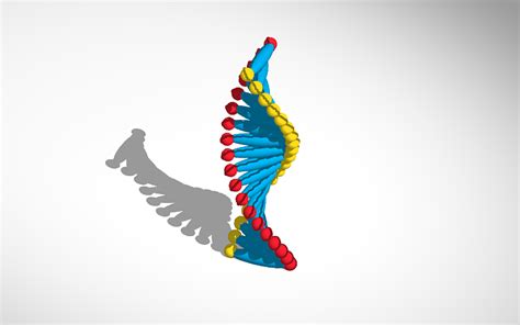 3d Design Our Dna Tinkercad