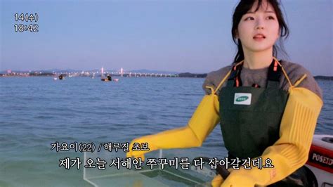 물고기 잡으러 걸어서 바닷속으로 해루질 브이로그 Youtube