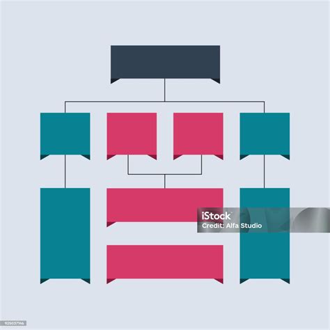 infographics flowchart colored schemes diagrams web designs business structure concept vector