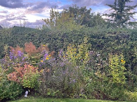 Annette Risberg On Linkedin Opentowork Gardenleave