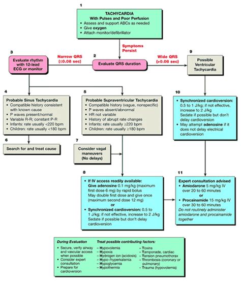 Palspediatric Advanced Life Support Algorithms