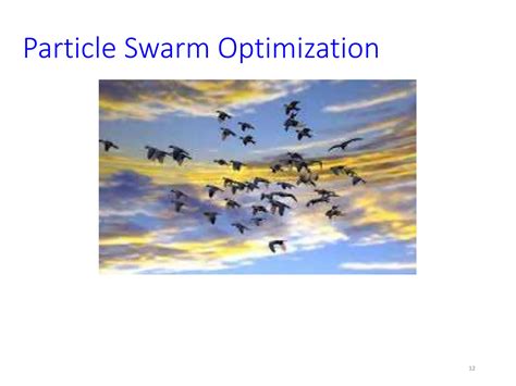 11 Optimization Algorithm With Swarmpptx