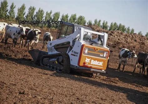 Bobcat T590 Specs And Technical Data Detailed Specifications
