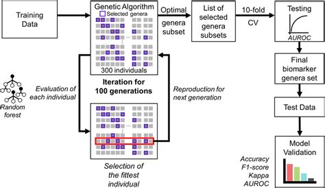 the overview of biomarker genera mining using ga from the randomly