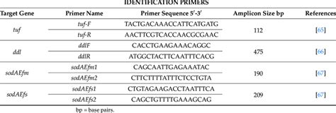 Primers For Enterococcus Genus And Species Identification Download Scientific Diagram
