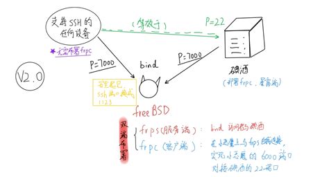 Stcp Of Frp For Ssh Meteor03s Oxalis Garden