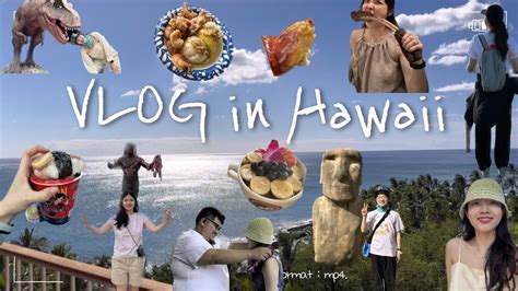 하와이 여행 브이로그 6박 8일 Ep1ㅣ하나우마베이ㅣ72번 국도 드라이브ㅣ쿠아로아랜치ㅣ라니아케아비치ㅣ다이아몬드헤드 Youtube