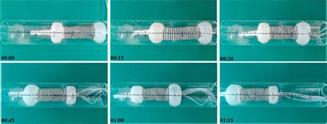 Frontiers Development Of An Earthworm Based Soft Robot For Colon Sampling