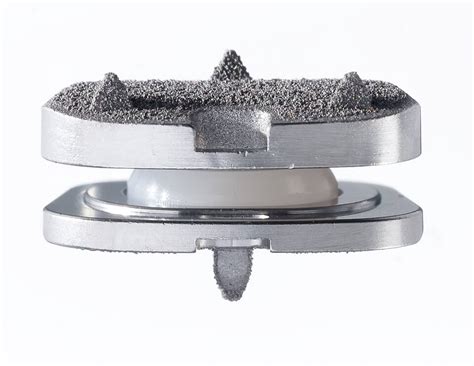 Prótesis Del Disco Intervertebral Columna Lumbar