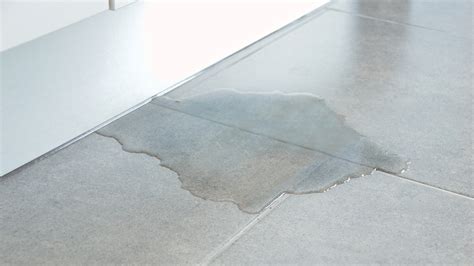 Water Puddle On Floor Close Up Of Water Leak On Concrete Floor Water