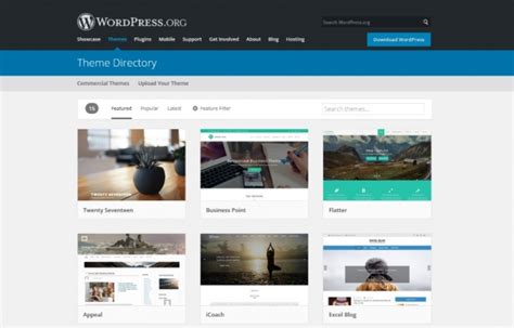 wordpress theme security checklist how to know you picked the right