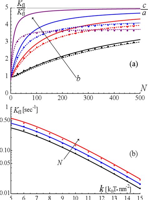 Figure 1 From Hard Wall Entropic Effect Accelerates Detachment Of Adsorbed Polymer Chains