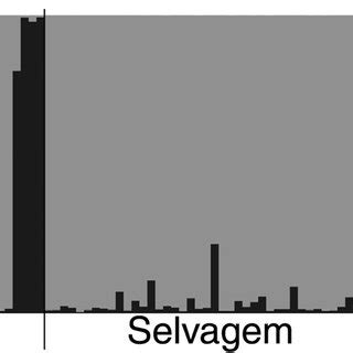 Bayesian Clustering Of Genotypes Of Individuals Performed In STRUCTURE Download Scientific