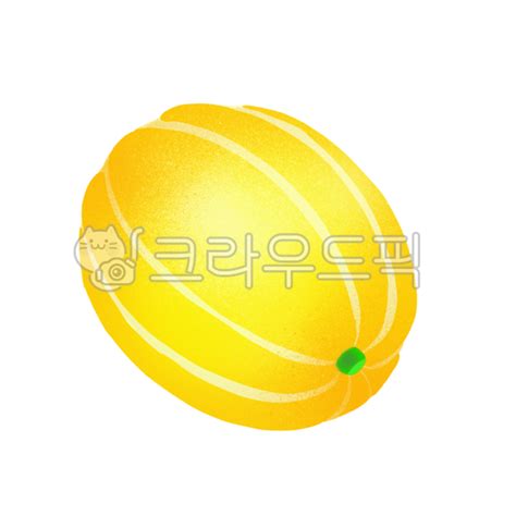 참외 과일 채소 여름과일 제철과일 사진이미지일러스트캘리그라피 멜로호양작가