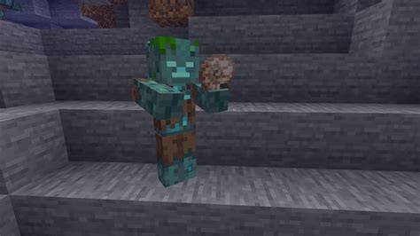 How To Get Nautilus Shells In Minecraft Beebom