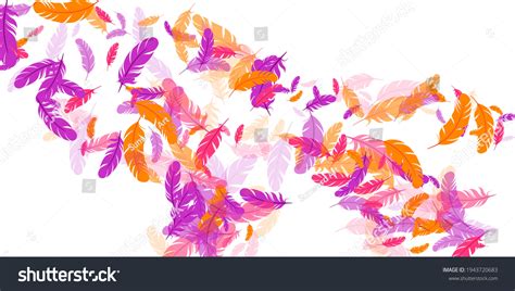 주황색 깃털 13101개가 넘는 로열티 프리 라이선스 대상 스톡 벡터 및 벡터 아트 Shutterstock