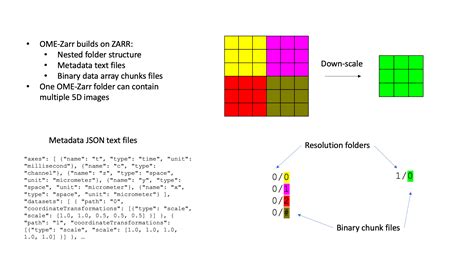 Ome Zarr Bioimage Analysis Training Resources