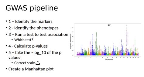 We Genotyped 100 Individuals For 7 SNPs From Those Chegg Com
