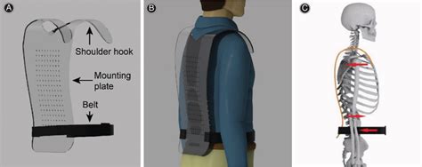 A The Digital Imaging And Communications In Medicine Dicom Files