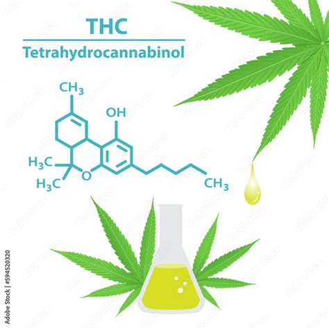 Thc Cannabis Extract Vector On White Background Chemical Structure Of Tetrahydrocannabinol