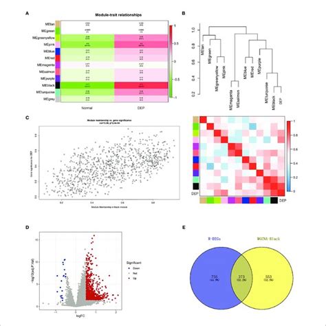 Module Trait Correlations Analysis And Screening Of Degs A The