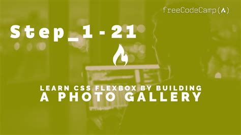 learn css flexbox by building a photo gallery solutions step 1 21