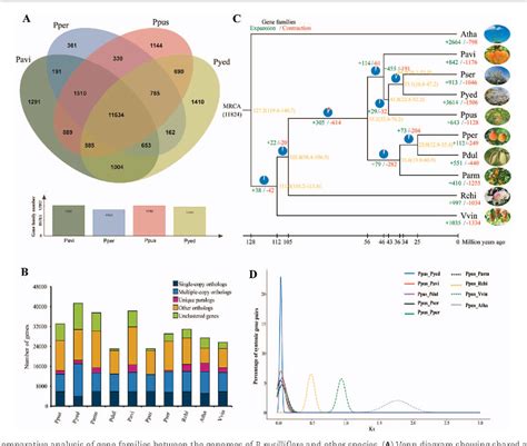 Figure 1 From Chromosome Scale Genome Assembly Of Prunus Pusilliflora