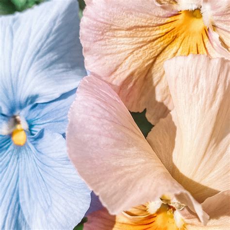 The Anatomy Of Awakening A Conversation With Author Dr Sue Morter