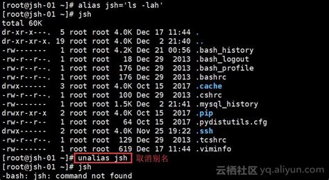 Linux基础知识Linux常用命令大全 阿里云开发者社区