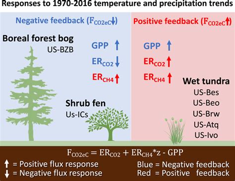 Biogeochemical Insight Of Carbon Fluxes Responses To Continuation Of Download Scientific