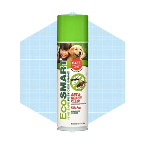 6 Best Roach Killers Most Powerful Indoor Sprays