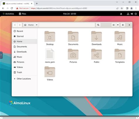 Almalinux 9 Vnc Client Novnc Server World
