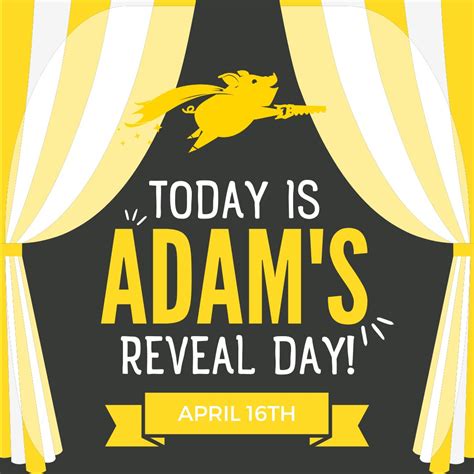 Sunshineonaranneyday Dreamsbuilthere Savethedate Revealday Sunshineonarainyday Nonprofit