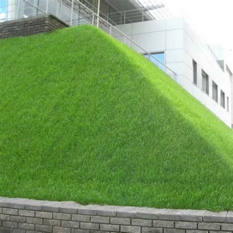 Травосмесь Откос