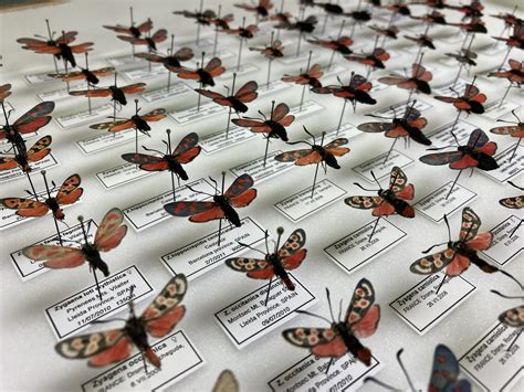 Shop Bioquipbugs