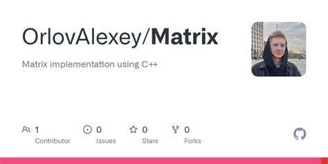 Github Orlovalexeymatrix Matrix Implementation Using C