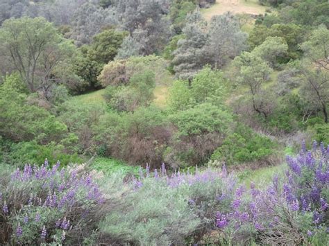 Bass Clarinet And Clarinets Untie 🎄🎅🏼🎄 “march From Tchaikovskys The Nutcracker Has Always