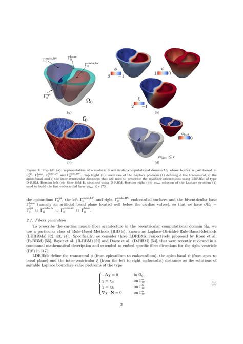 D D Closed Loop Model For The Simulation Of Cardiac Biventricular Electromechanics DeepAI