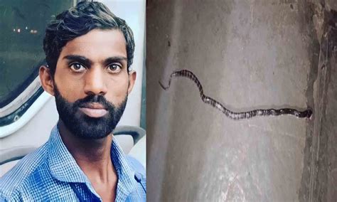 పాము కాటుతో యువకుడి మృతి Youth Dies Of Snake Bite In Janagam